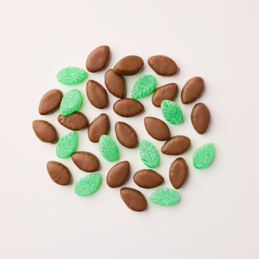 Milk Chocolate Mint Leaves (Limited Edition) – Coated Australia